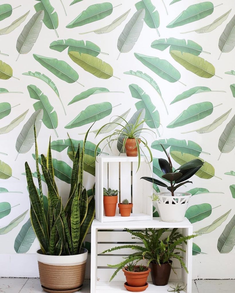 Removable Wallpaper is the Easiest Way to Give Your Room an Instant ...