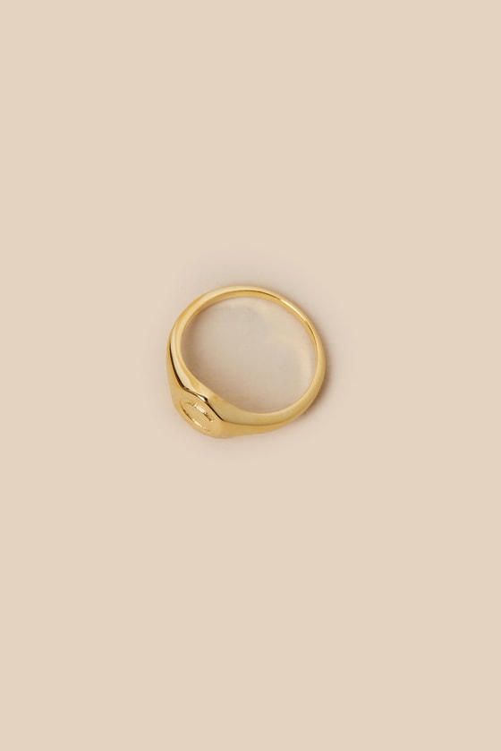 Luv AJ Oval Signet Ring - 14kt Gold Initial Ring - C Initial Ring - Lulus