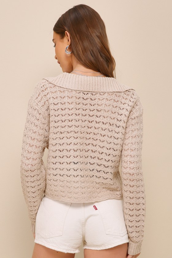 Beige Pointelle Sweater - Collared Sweater - Cropped Sweater - Lulus