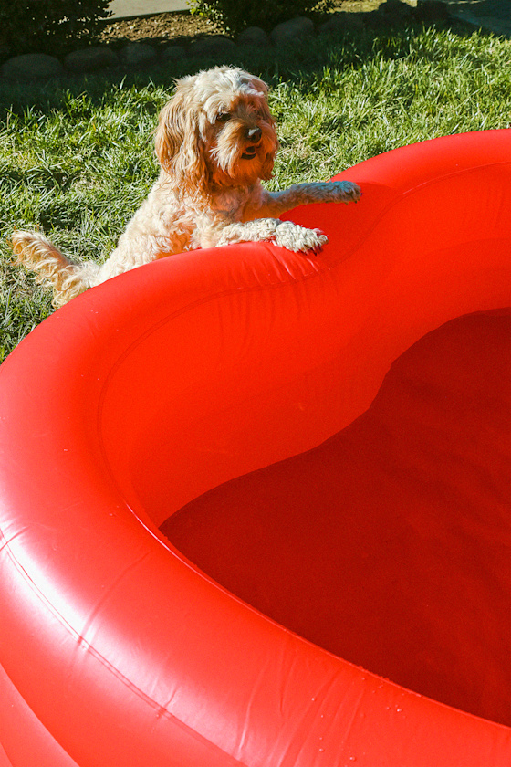 ban.do Heart-Shaped Inflatable Pool - Kiddie Pool - Red Mini Pool - Lulus